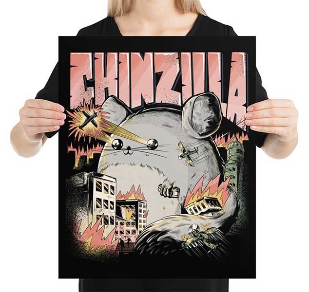 15 Chinchilla Gifts for Owners and Chin Lovers - Exotic Animal Supplies