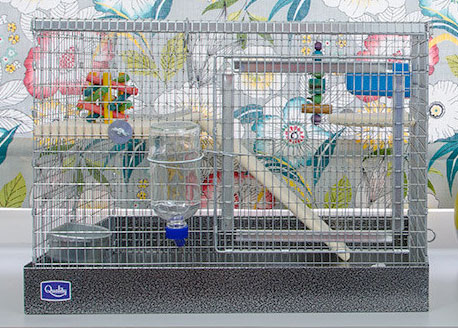 Best Chinchilla Carriers and Travel Cages - Exotic Animal Supplies
