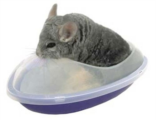 Best Chinchilla Dust Bath & Bath Houses - Exotic Animal Supplies