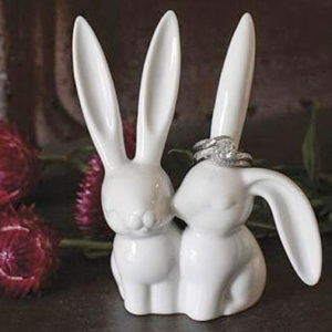 10 Gifts for Rabbit Lovers and Bunny Owners - Exotic Animal Supplies