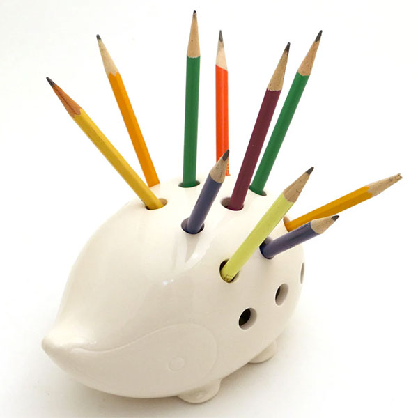 20 Adorable Hedgehog Gifts for Hedgie Owners - Exotic Animal Supplies