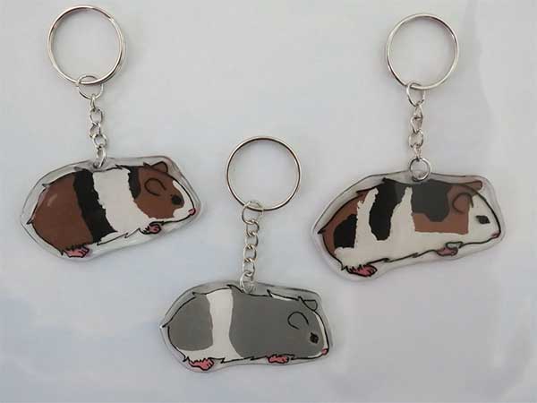 25 Gifts for Guinea Pig Lovers & Owners - Exotic Animal Supplies