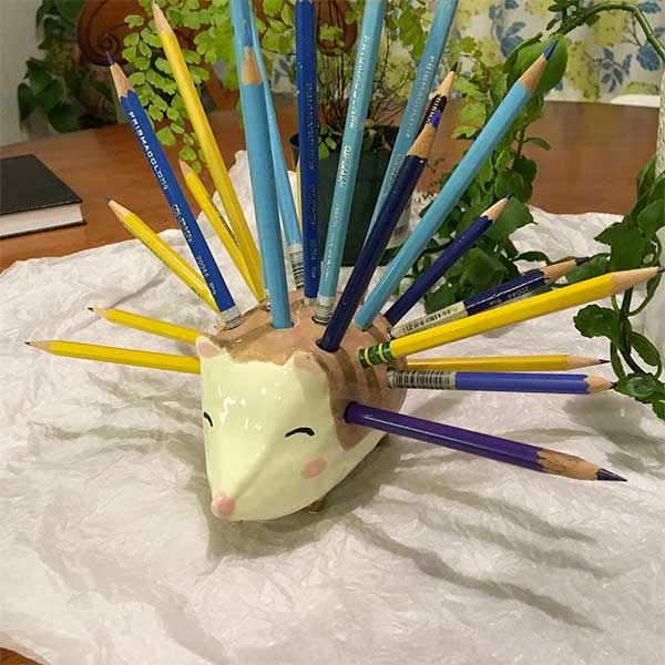 20 Adorable Hedgehog Gifts for Hedgie Owners - Exotic Animal Supplies