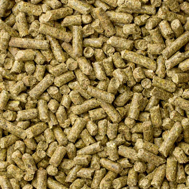 Chinchilla Food Pellets - Exotic Animal Supplies