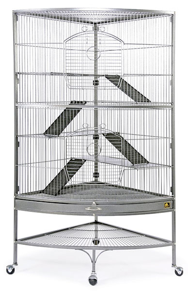 Best Chinchilla Cage for Your New Pet - Exotic Animal Supplies
