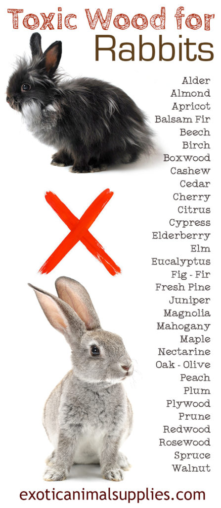 Safe Wood for Rabbits for Toys, Chews, & Cages - Exotic Animal Supplies