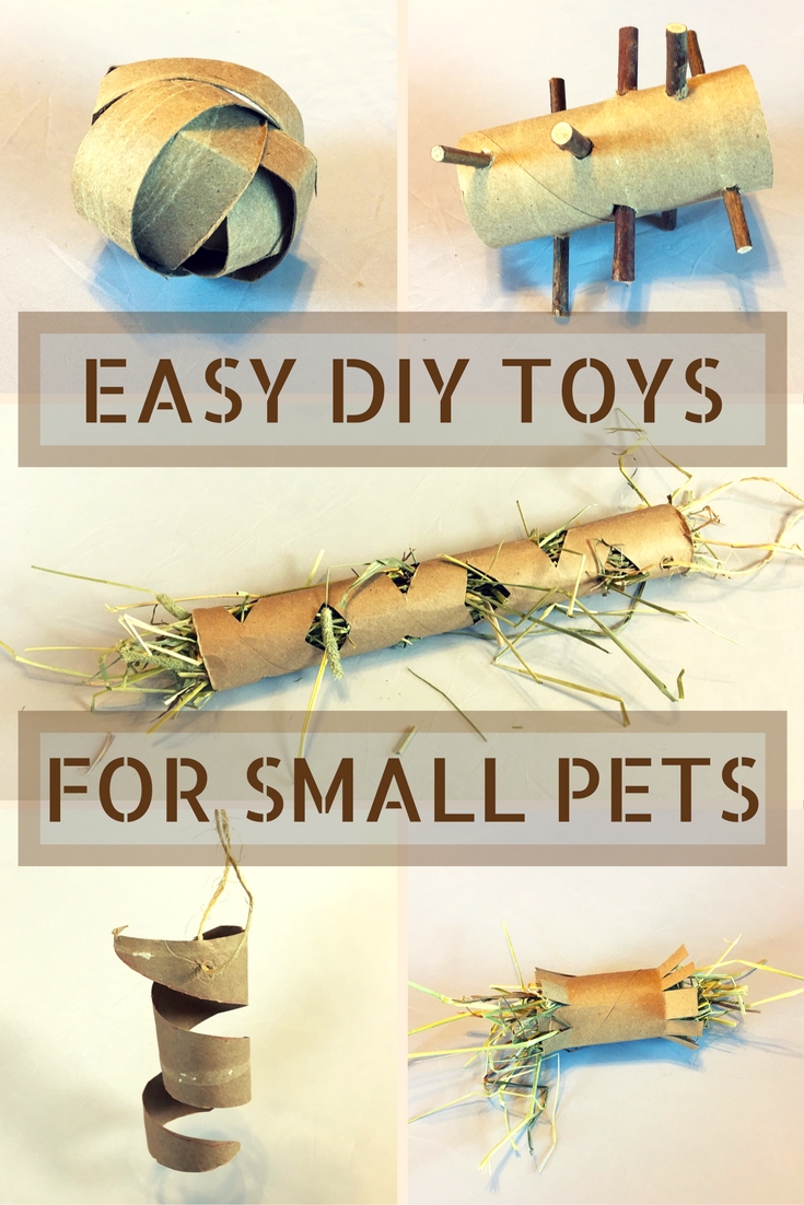 DIY Toilet Paper Roll Toys For Small Pets Exotic Animal Supplies