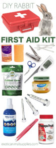 Rabbit First Aid Kit for Bunny Emergencies - Exotic Animal Supplies