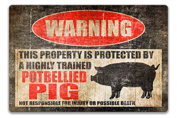 22 Cute & Funny Pig Gifts - Exotic Animal Supplies