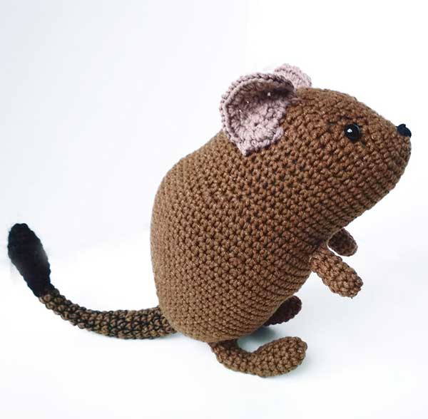 10 Funny & Cute Degu Gifts for Pet Owners - Exotic Animal Supplies