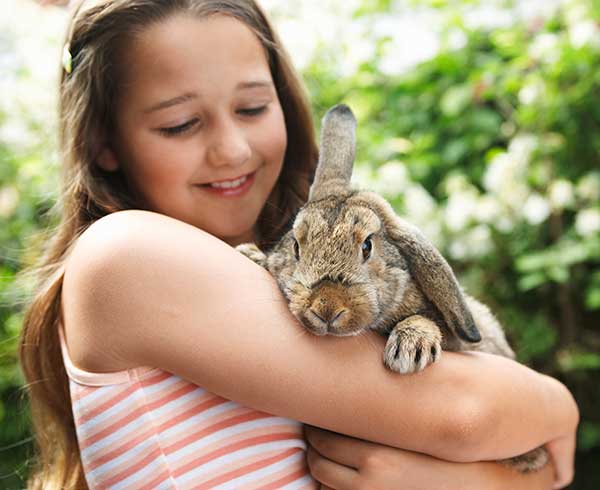 Everything You Need for a Pet Rabbit - New Owner Checklist - Exotic ...