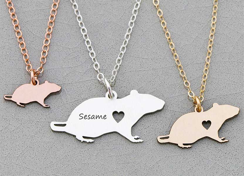 15 Cutest Gifts for Rat Owners - Exotic Animal Supplies