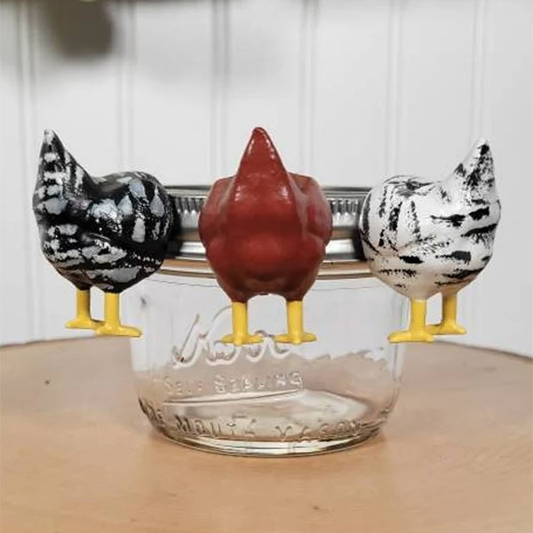 20 Amazing Gifts for Backyard Chicken Keepers - Exotic Animal Supplies